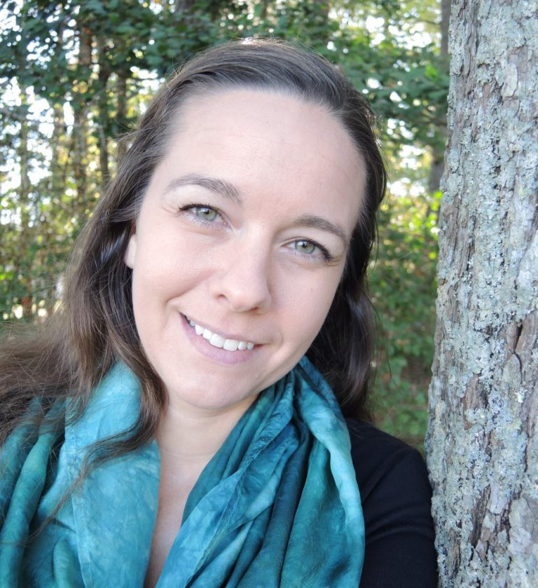 Diabolical Plots – From Inspiration to Ink…