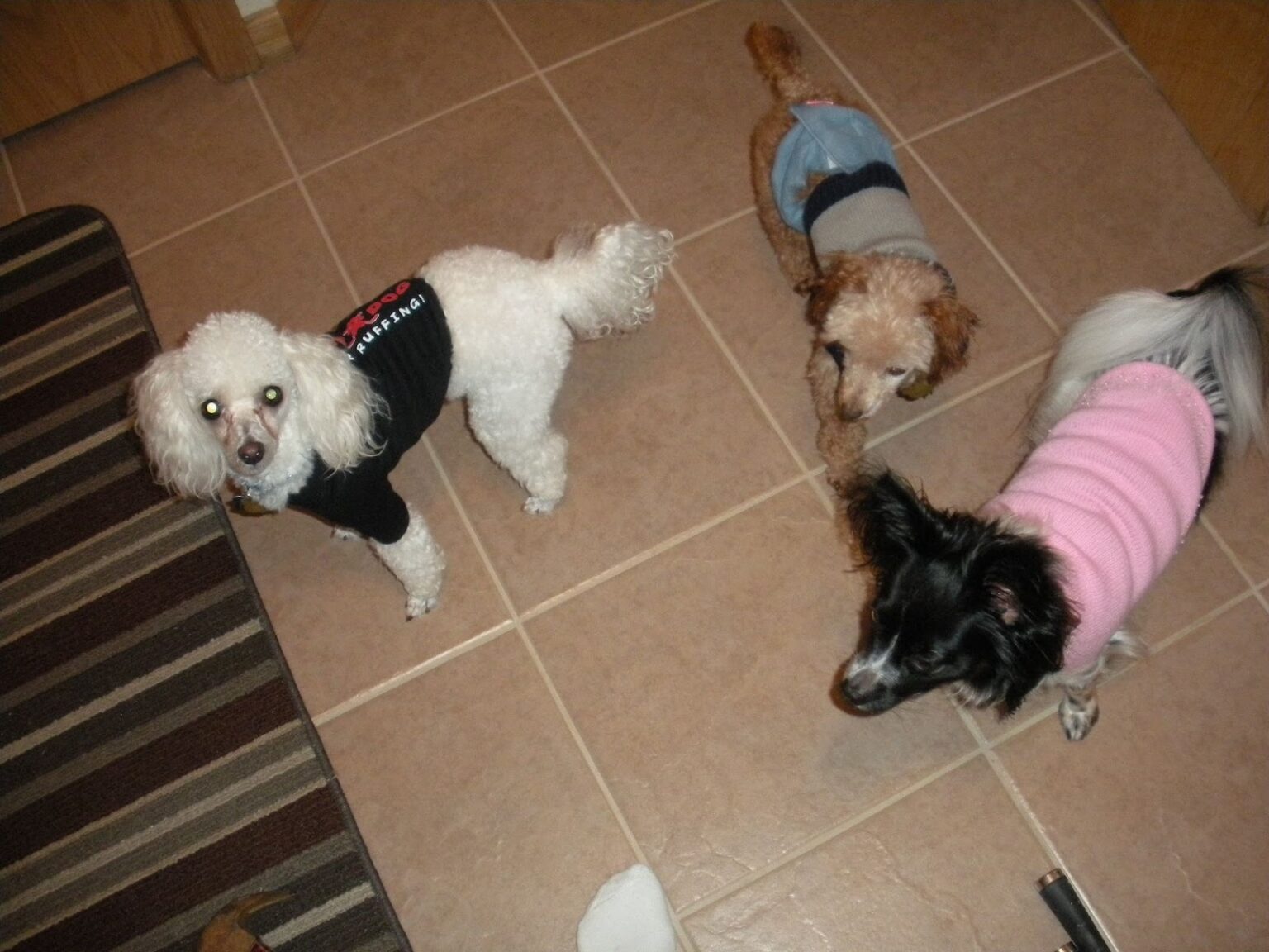 Diabolical Plots – From Inspiration to Ink…