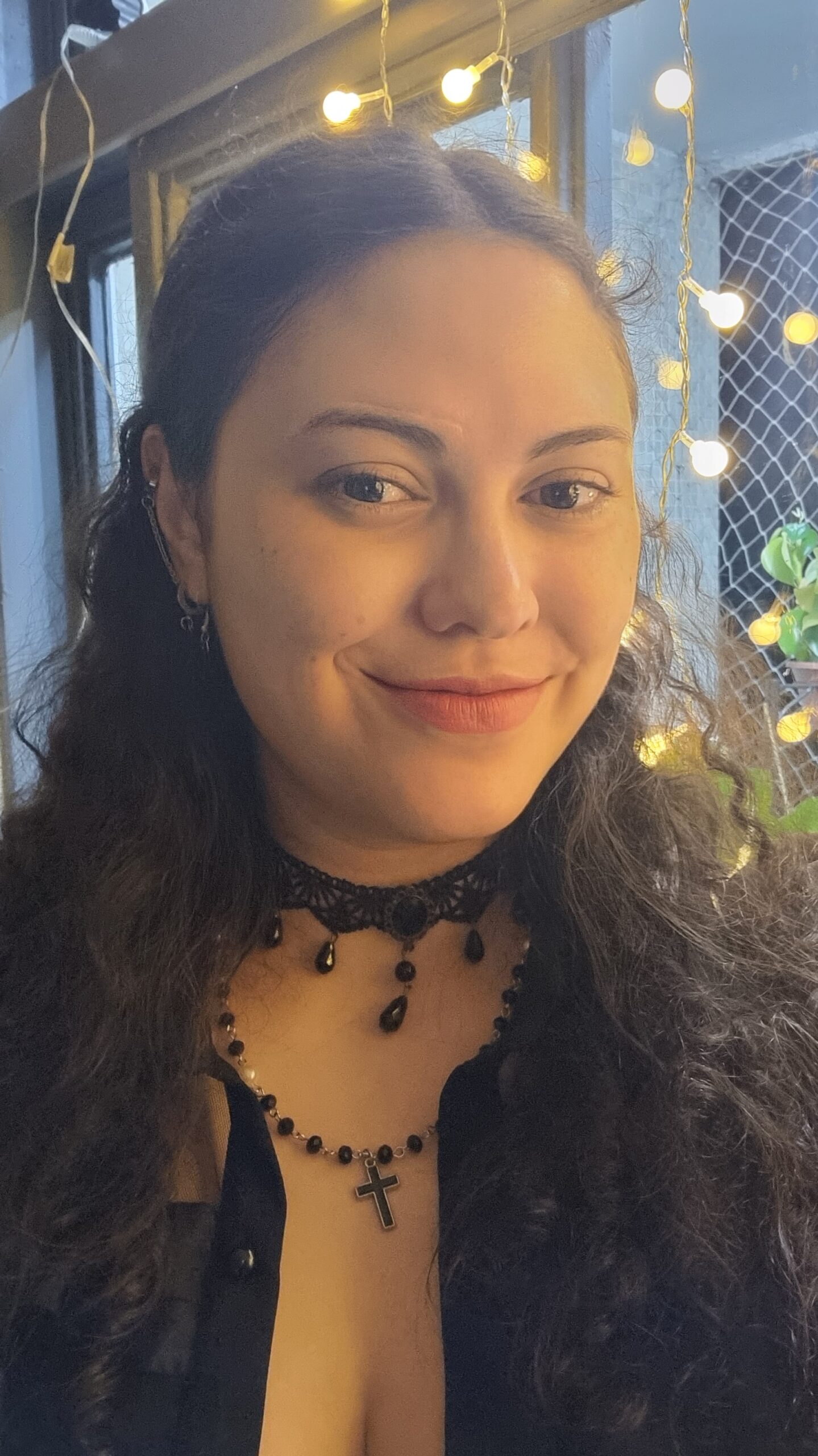 Diabolical Plots – From Inspiration to Ink…