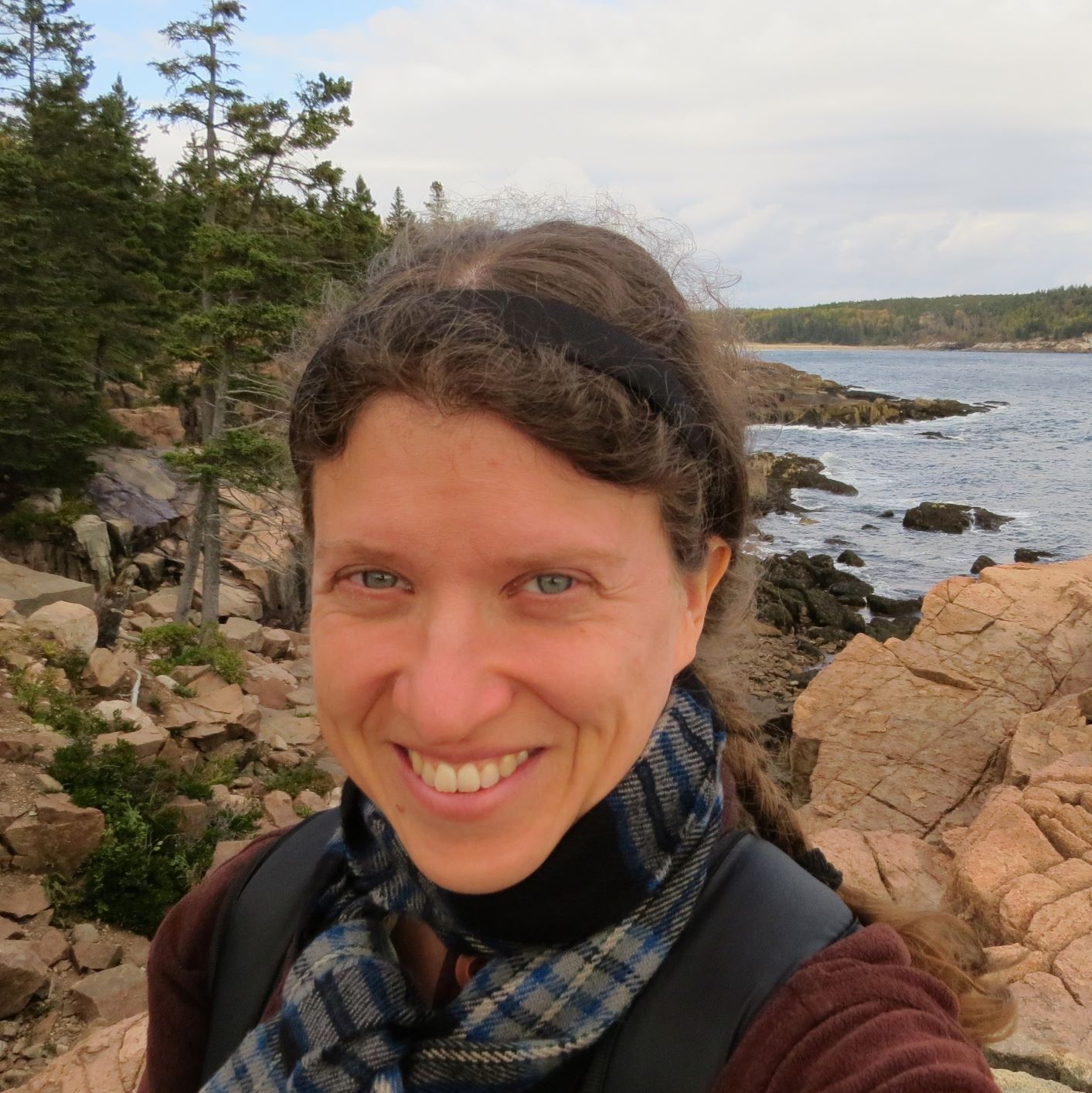 Diabolical Plots – From Inspiration to Ink…